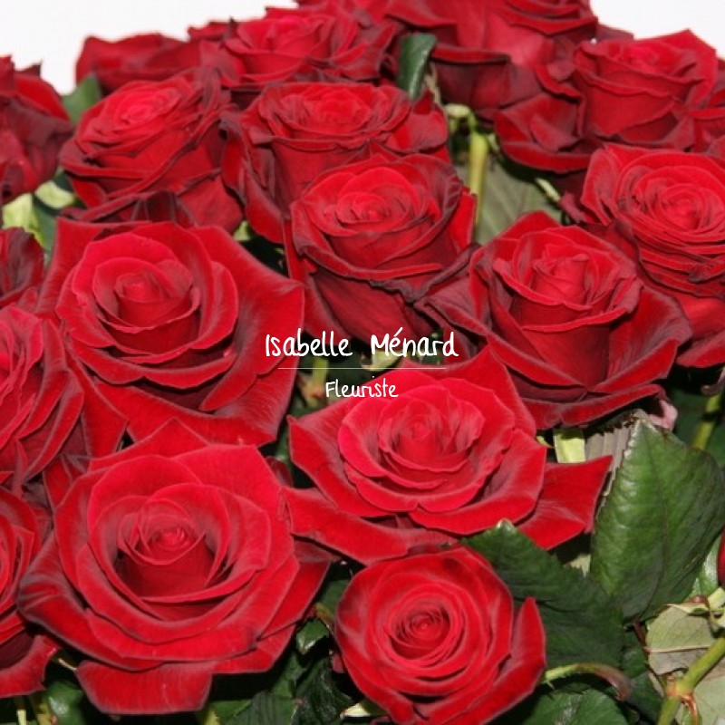 bouquet de grandes roses rouges